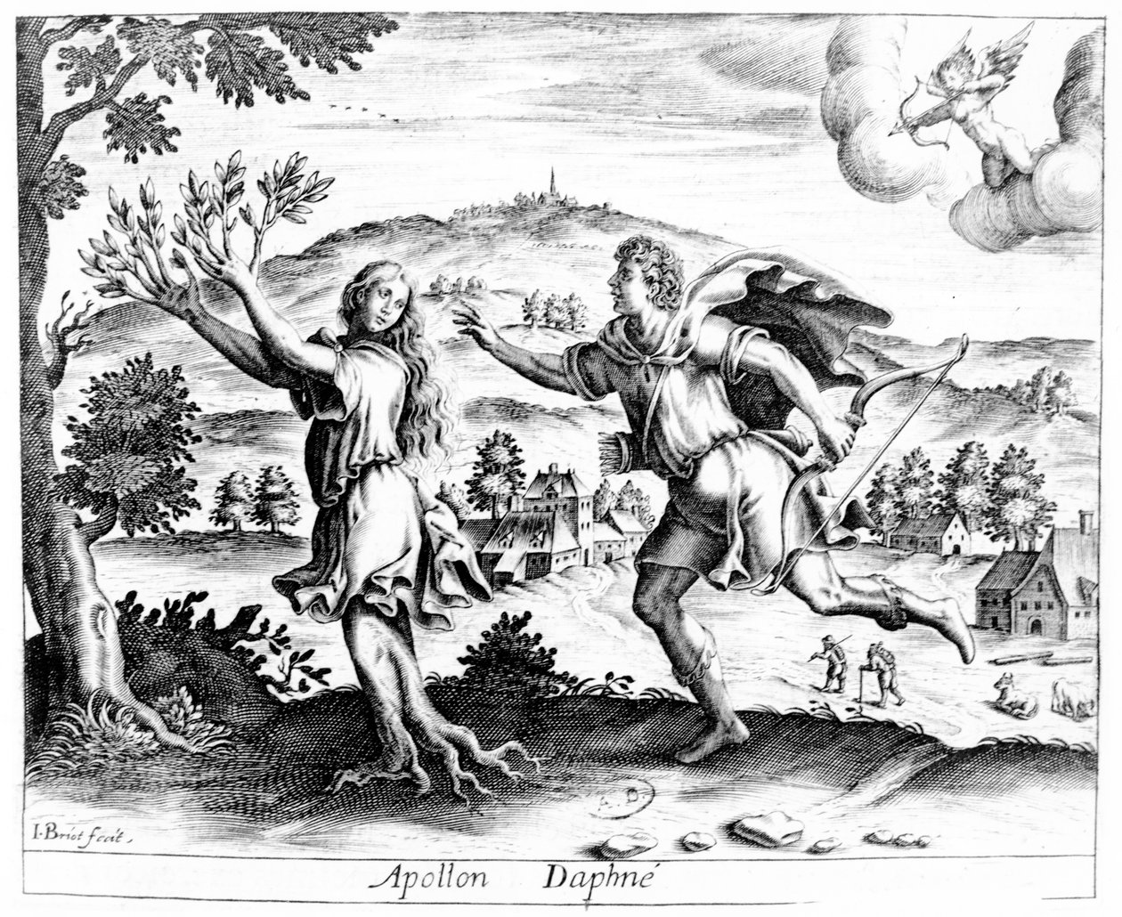 Daphne, fleeing from the amorous Apollo, is transformed into a bay ...