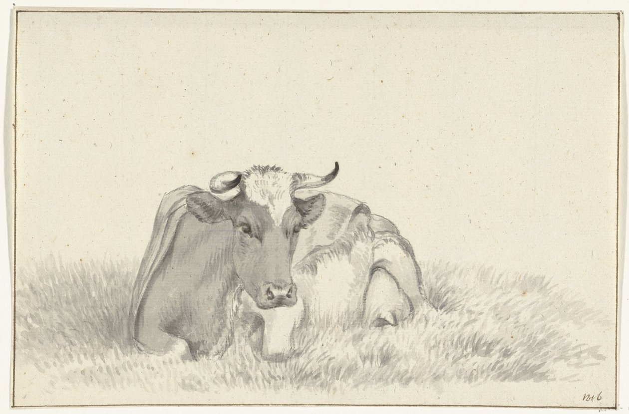 Lying Cow, from the Front by Jean Bernard: Fine art print