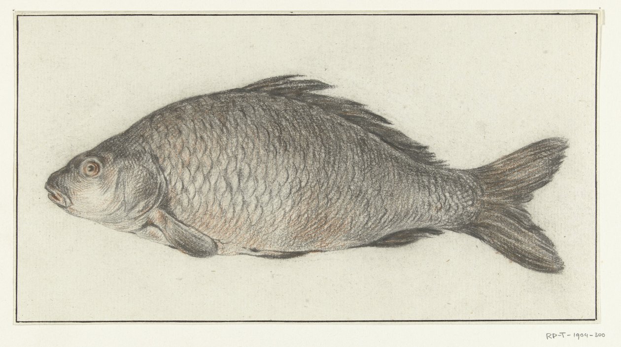Fish by Jean Bernard: Highest-quality art reproduction