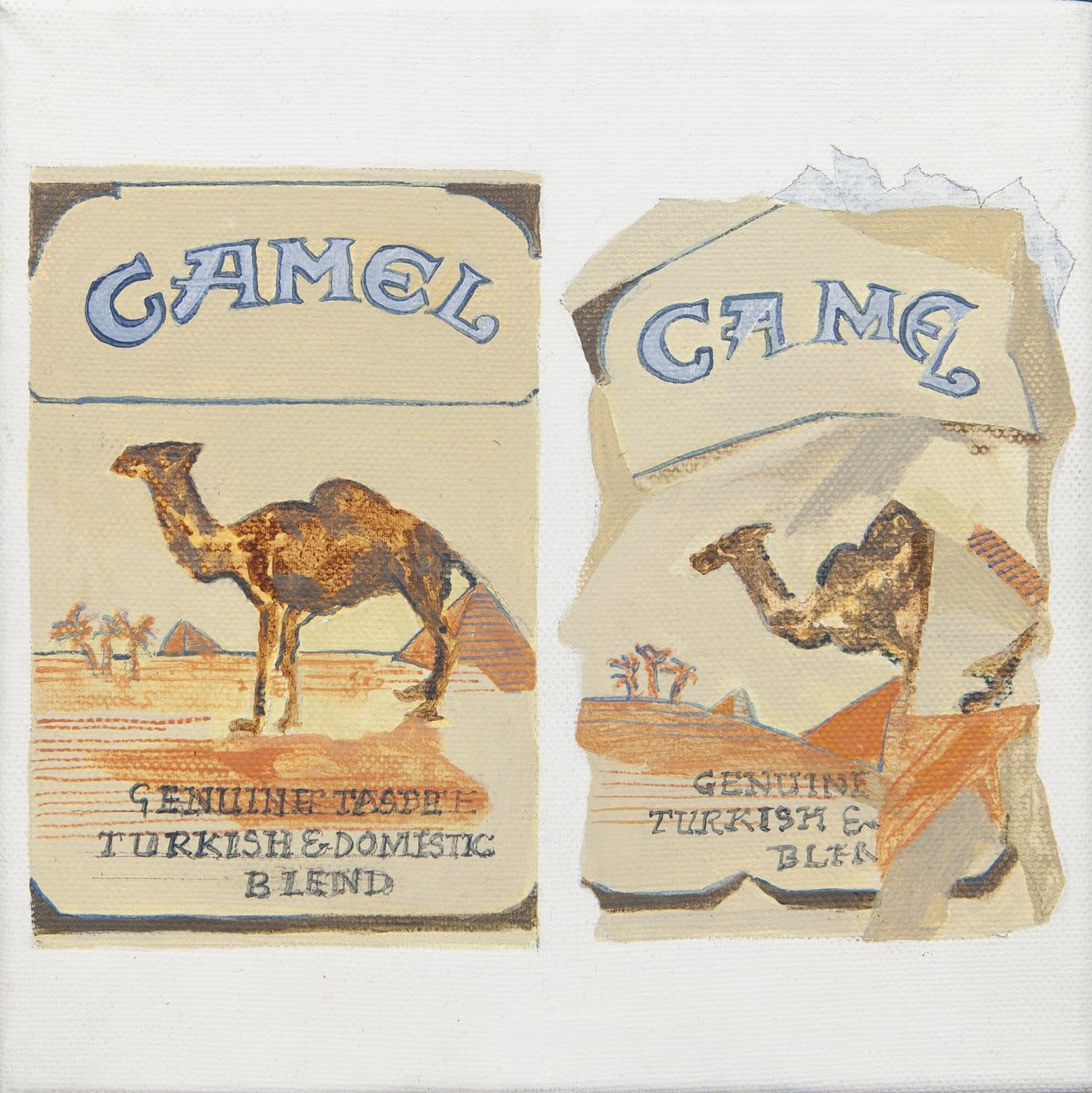 Camel Cigarette packs by Jennifer Abbott: Fine art print