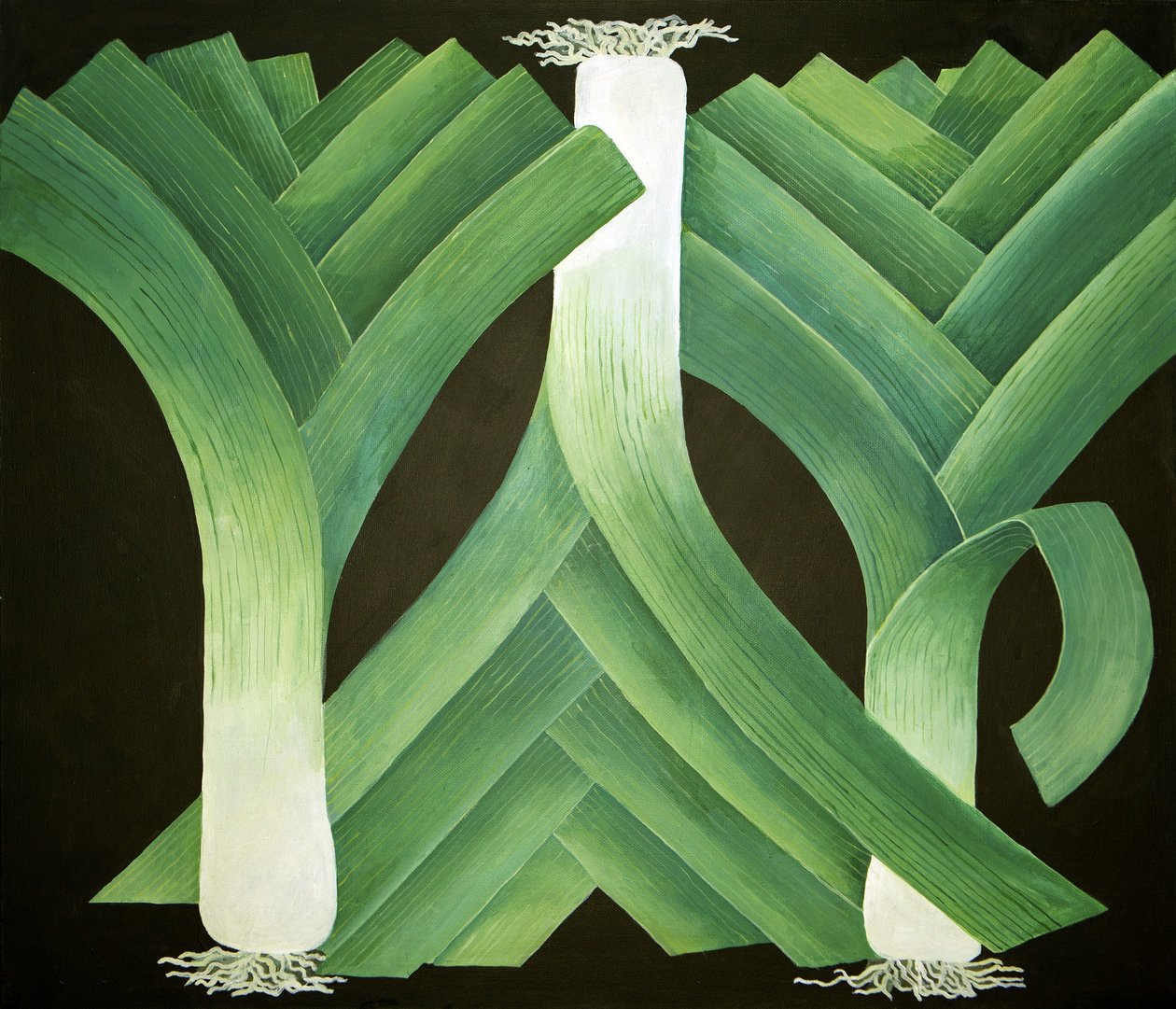 Leeks by Jennifer Abbott: Highest-quality art reproduction