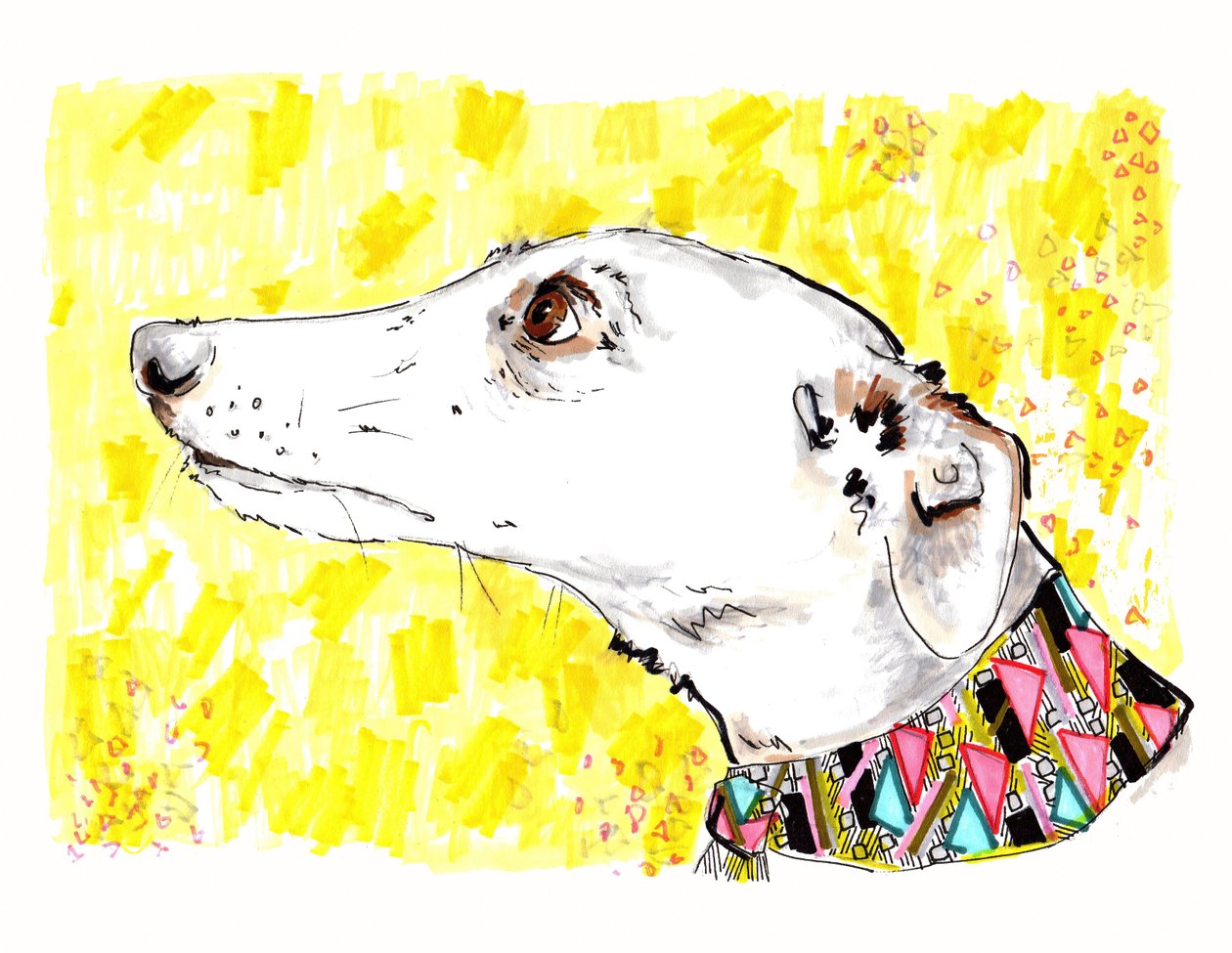 Silvertips The Greyhound by Jo Chambers: Fine art print