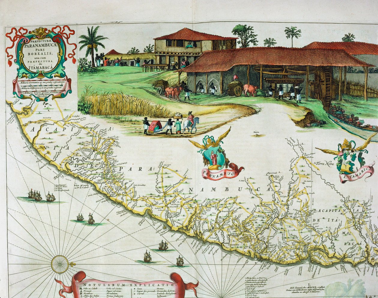 Joan Blaeu's Atlas Major by Joan Blaeu: Buy fine art print