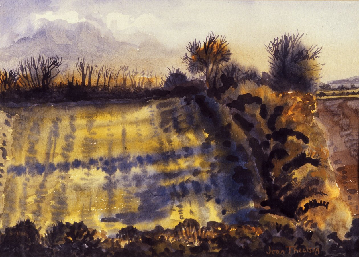 Field with Long Shadows by Joan Thewsey: Buy fine art prints