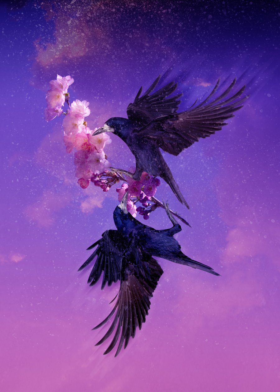 Bird Kingdom 5 by Johan Lilja: Buy fine art print