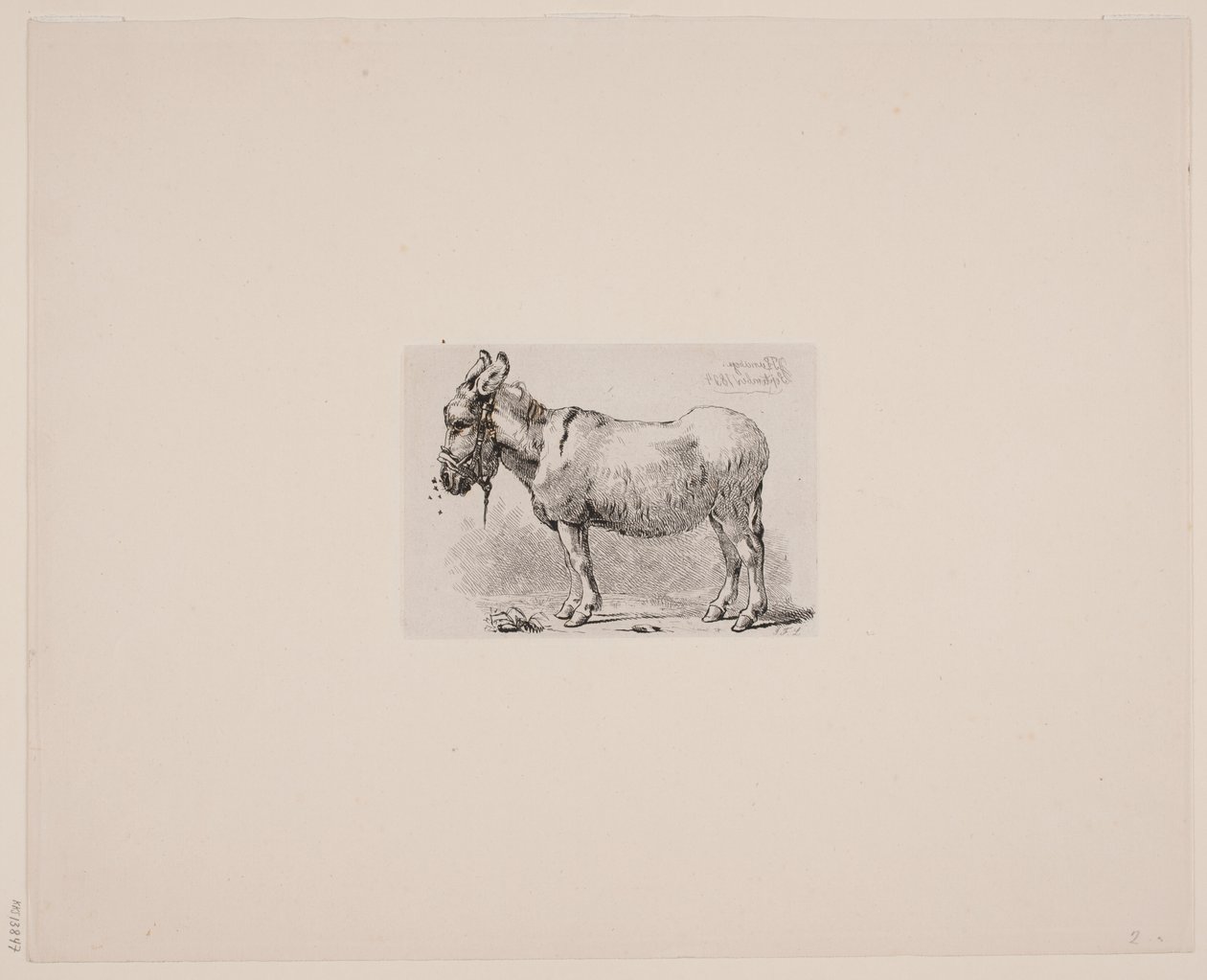 A Donkey Tormented by Flies by Johan Lundbye