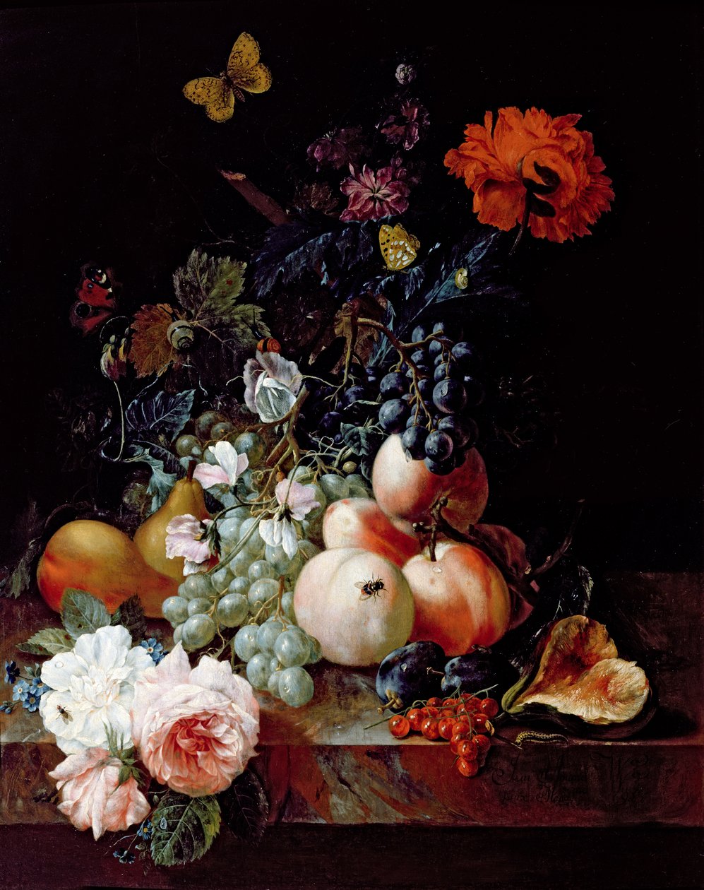Still Life by Johann Amandus Winck: Buy fine art print