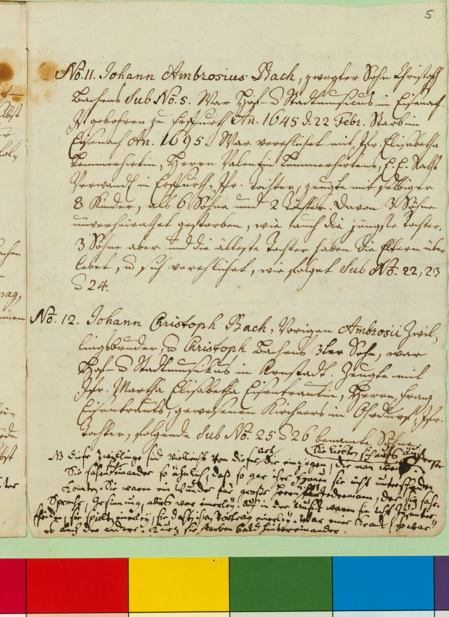 The Origin of the Musical Bach Family