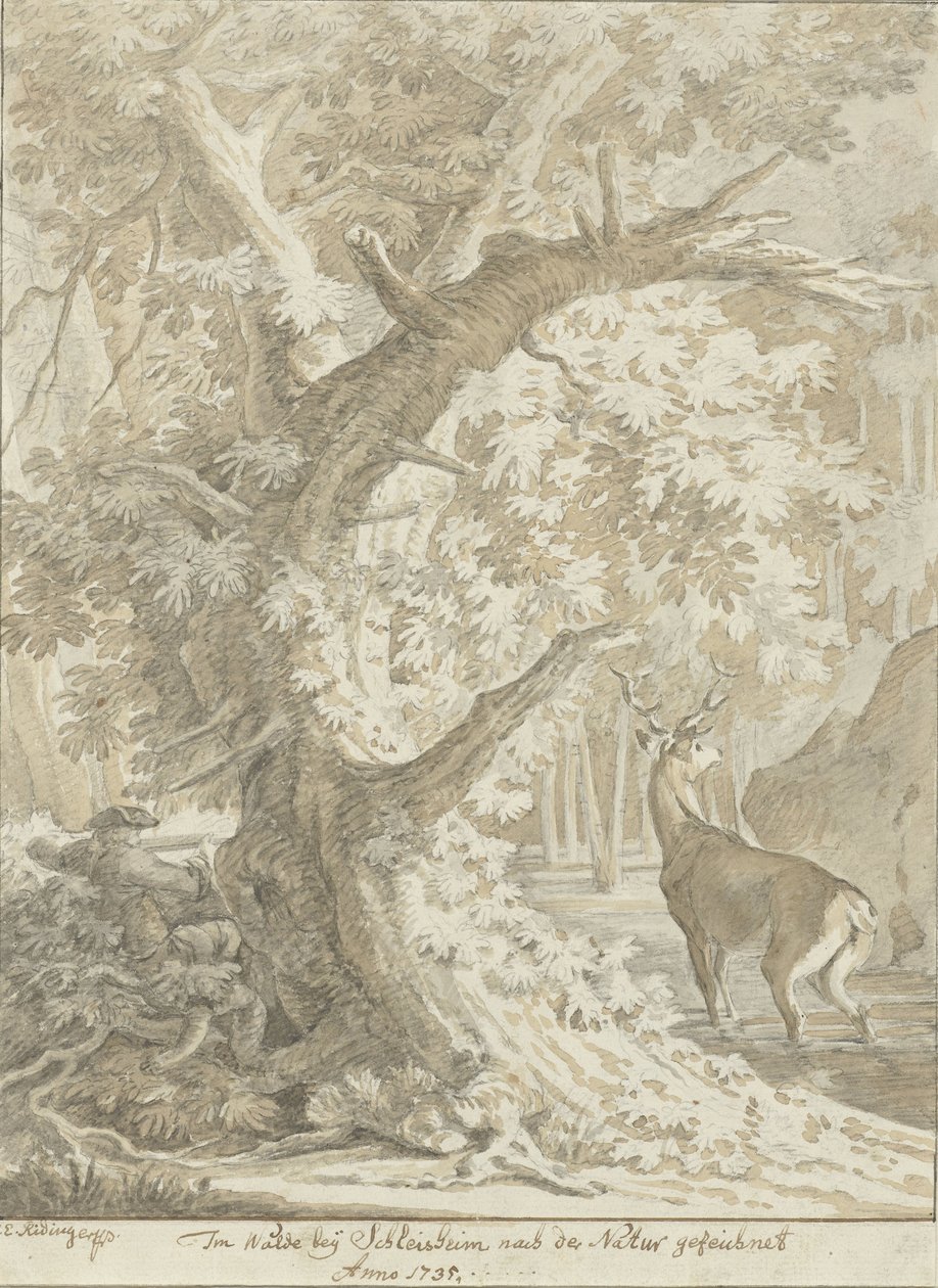 Hunter Aiming at a Red Deer in the Water Under an Old Tree