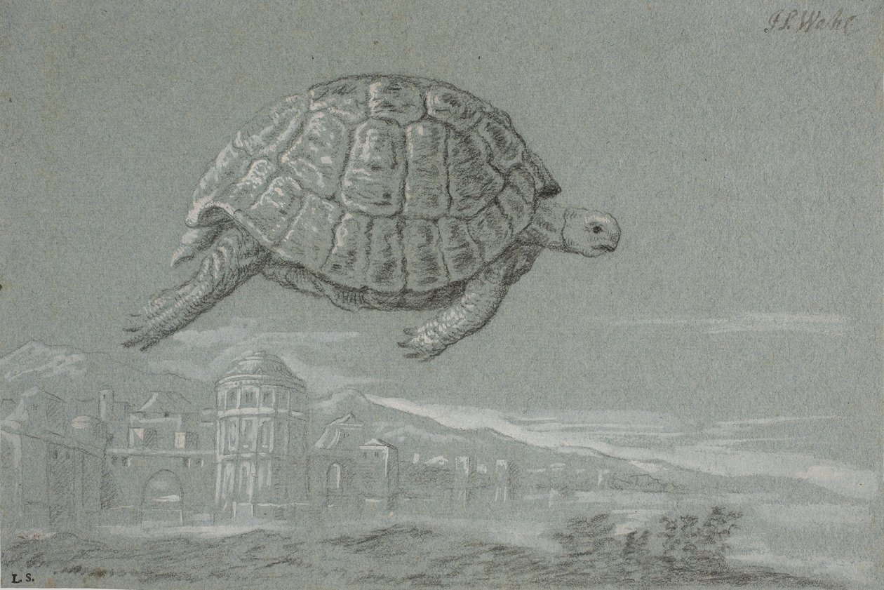 Study of a Turtle, and View of a Fortified City by the Sea (Venice)