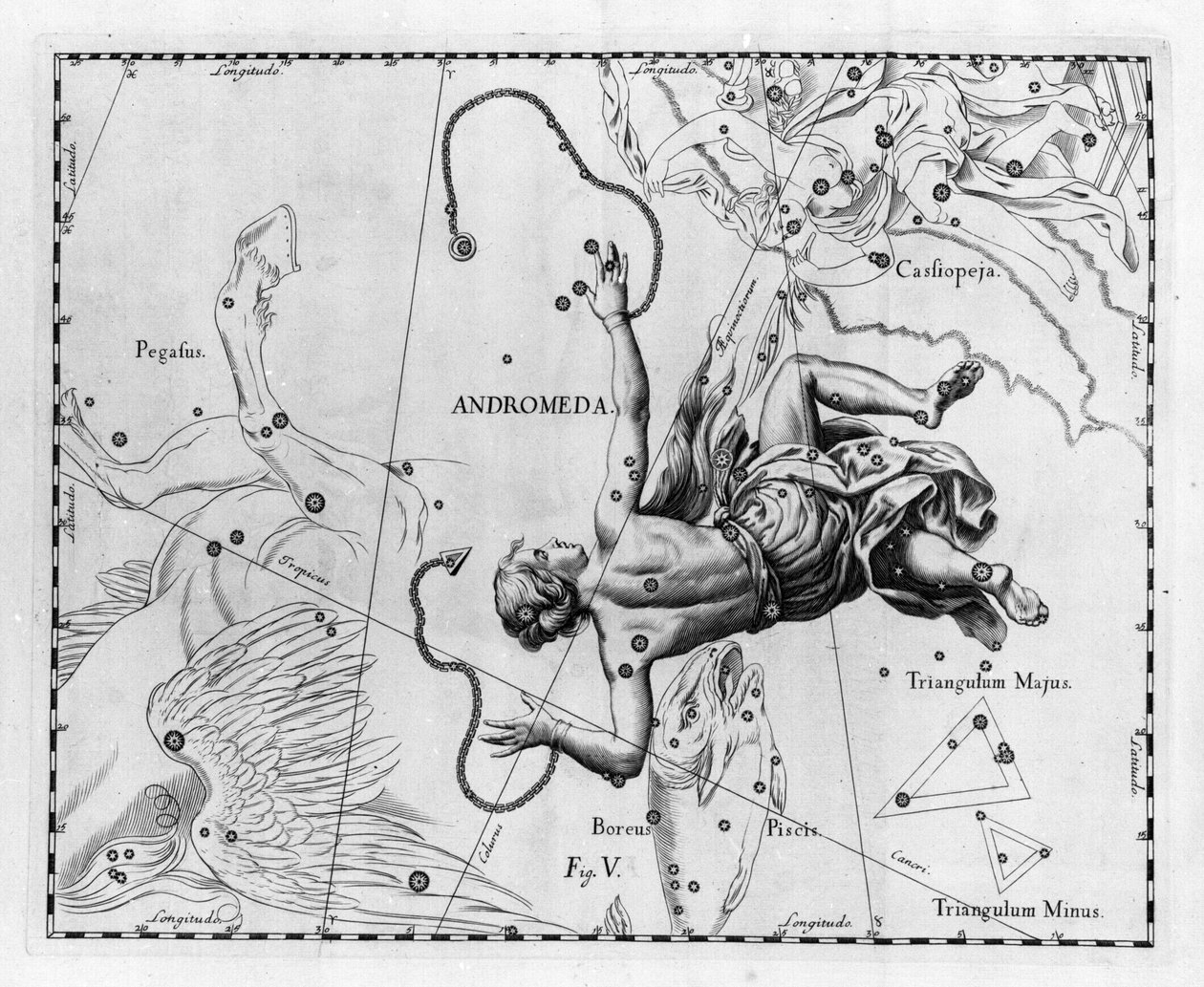 The constellation Andromeda. Plate drawn from 'Firmamentum Sobiescanum ...
