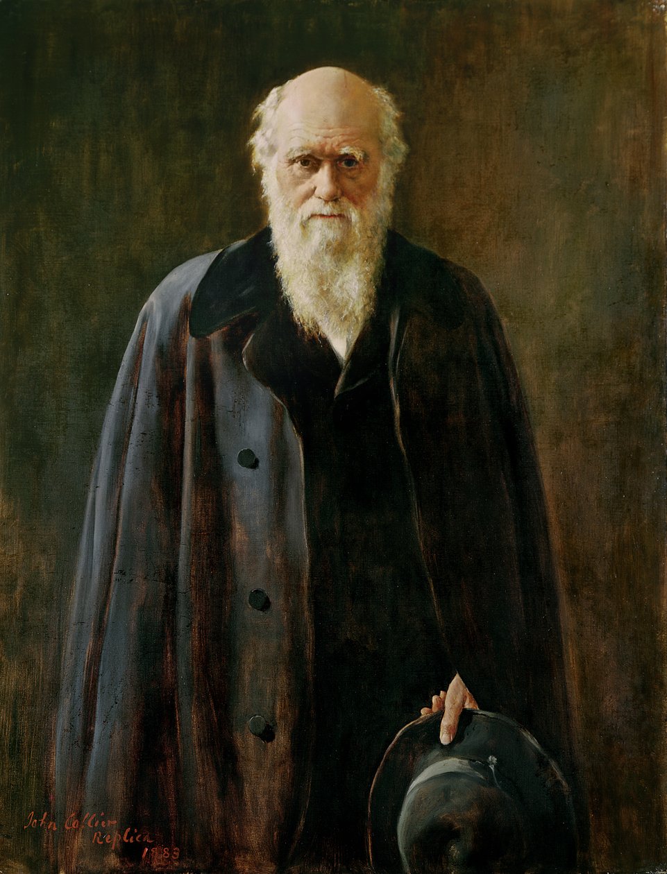 Portrait of Charles Darwin by John Collier: Fine art print