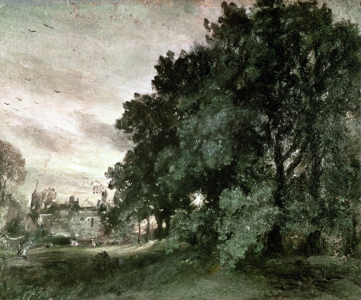 Study of Trees by John Constable: Buy fine art print