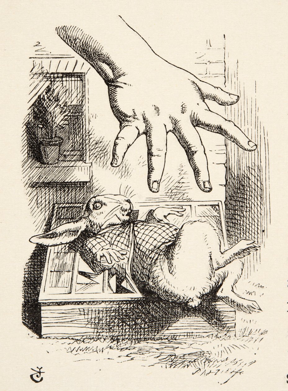 Alice Drops the White Rabbit, from Alice's Adventures in Wonderland by ...