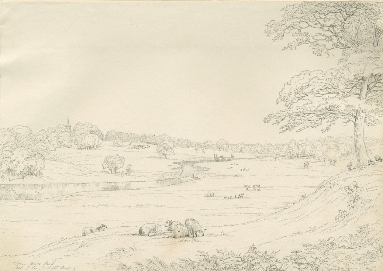 Great Barr Park by John Allport: Buy fine art print