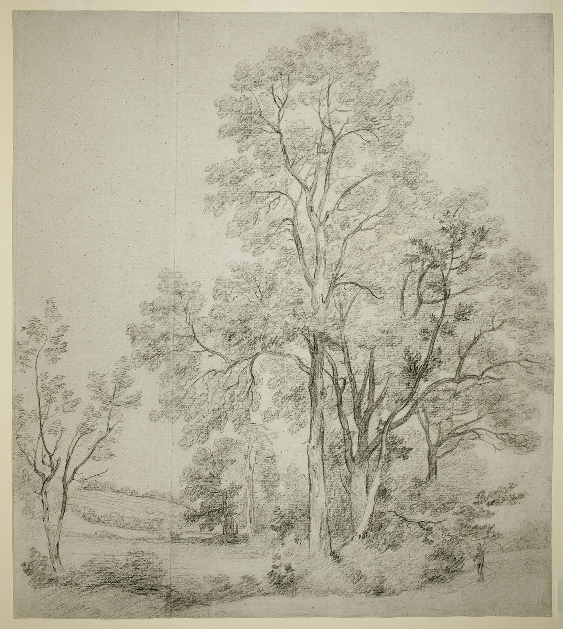 A Stand of Elm Trees (recto); A Study of East Bergholt with the Church ...