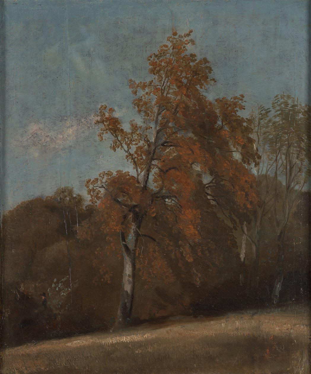Study of an Ash Tree by John Constable: Buy fine art print