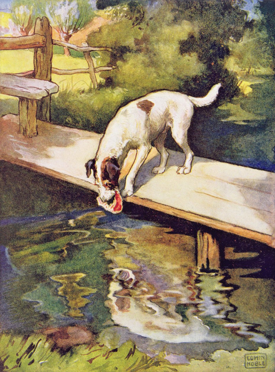 The Dog and the Shadow (book illustration)