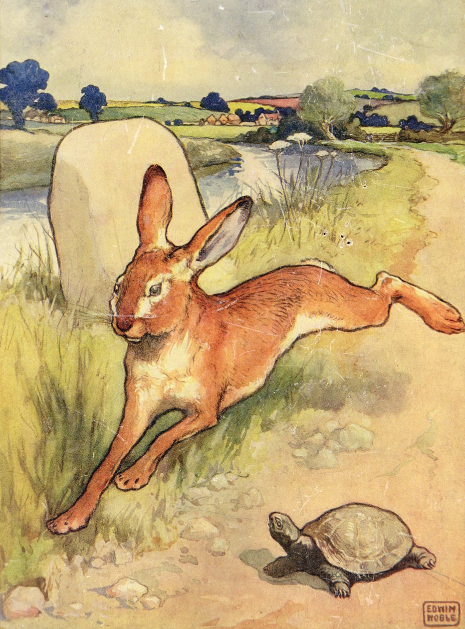 The Tortoise And The Hare Fable