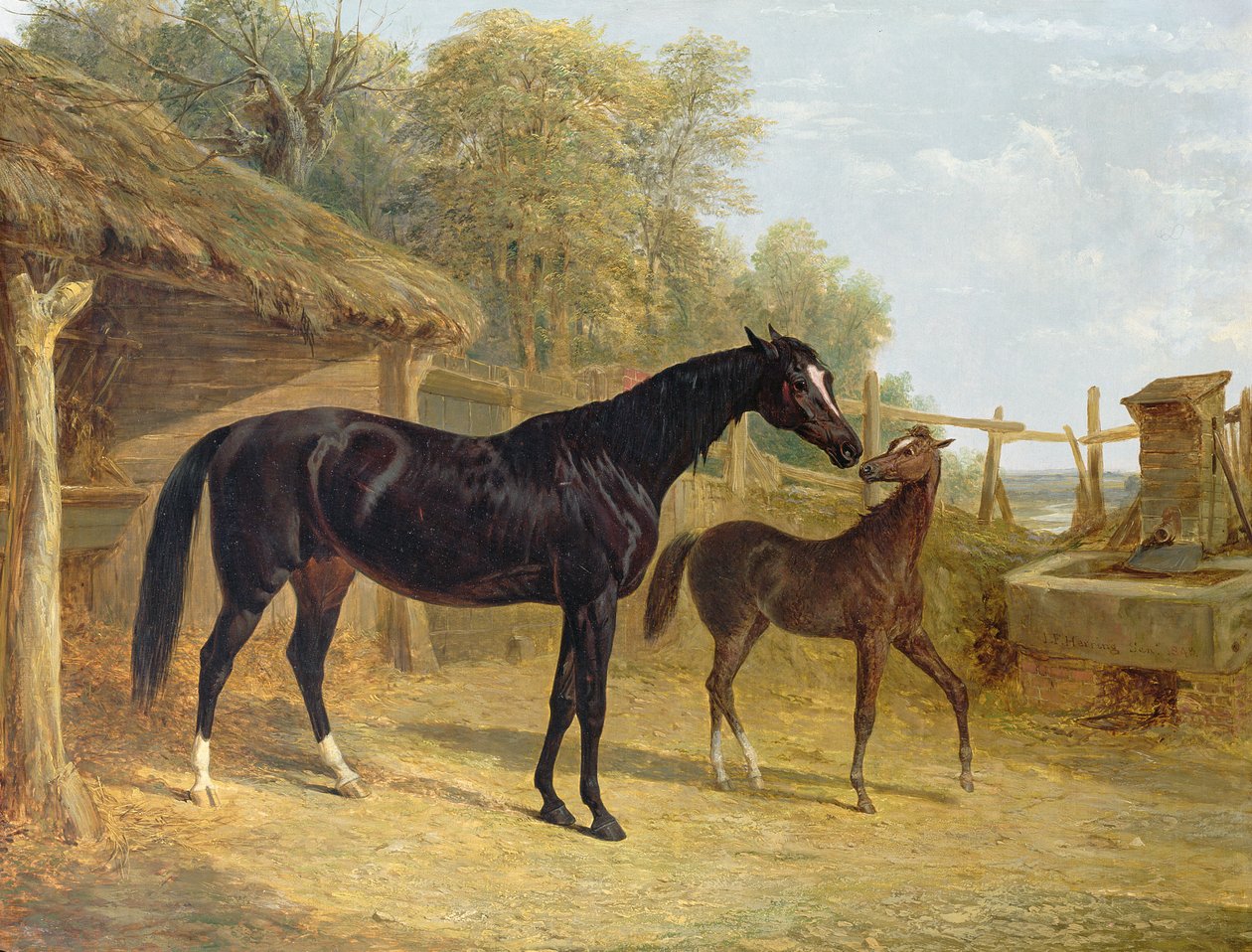Levity, the Property of J.C. Cockerill Esq., with Her Foal Queen ...