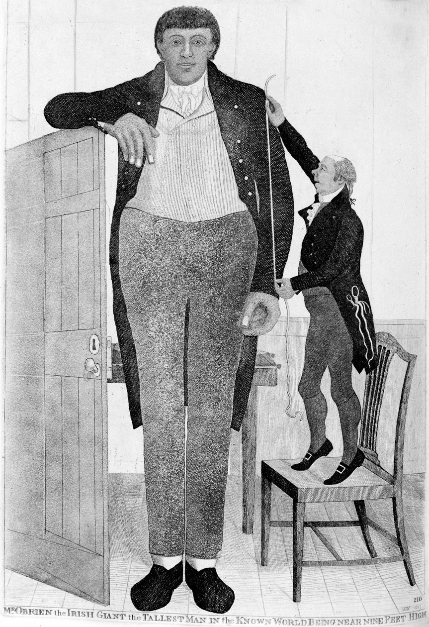 Mr O'Brien, the Irish Giant, the Tallest Man in the Known World