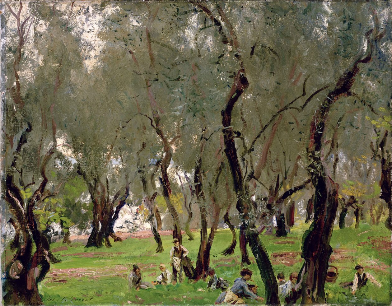The Olive Grove by John Singer Sargent: Buy fine art print