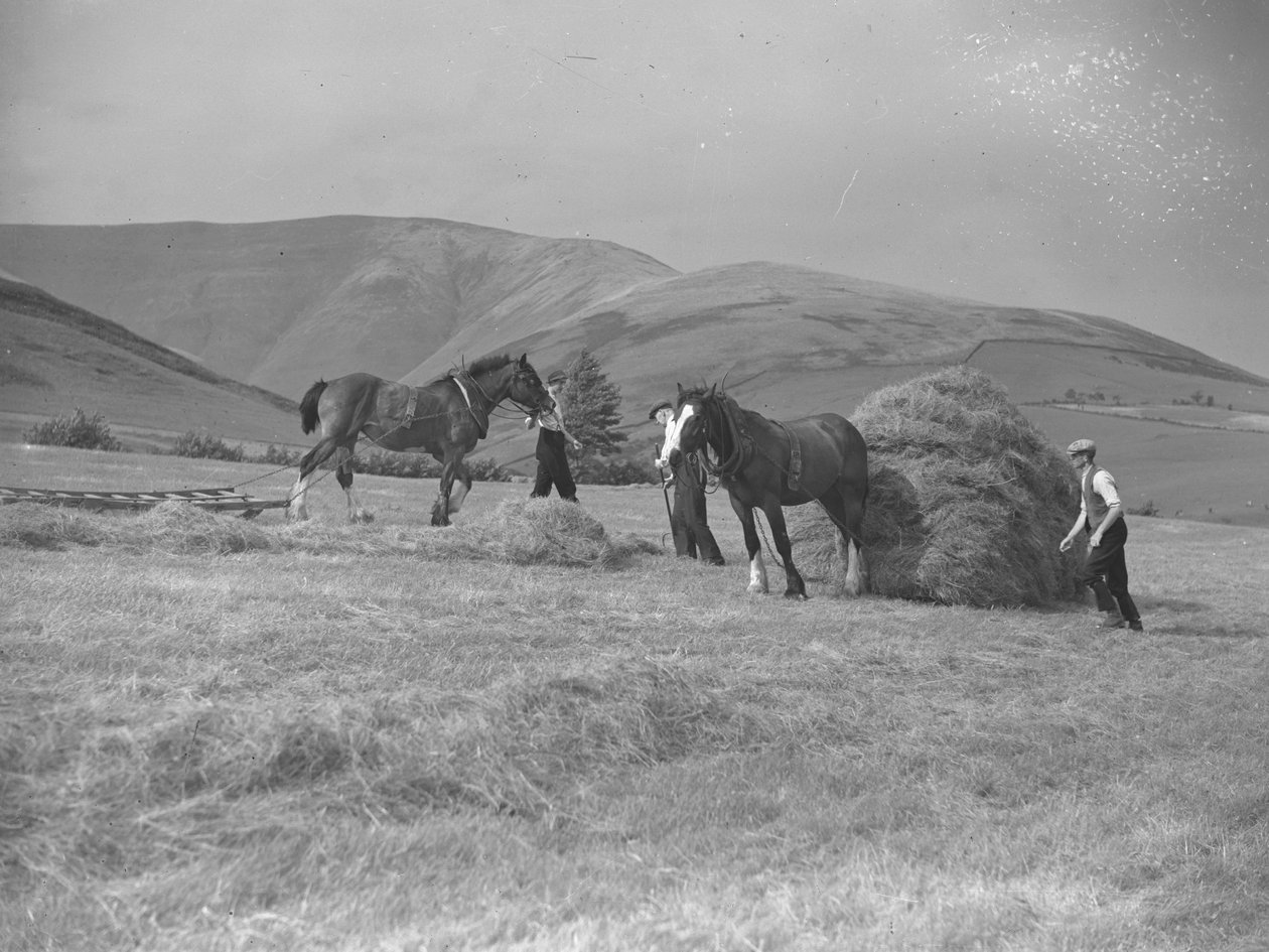 Two horses pulling sledges by Joseph Hardman