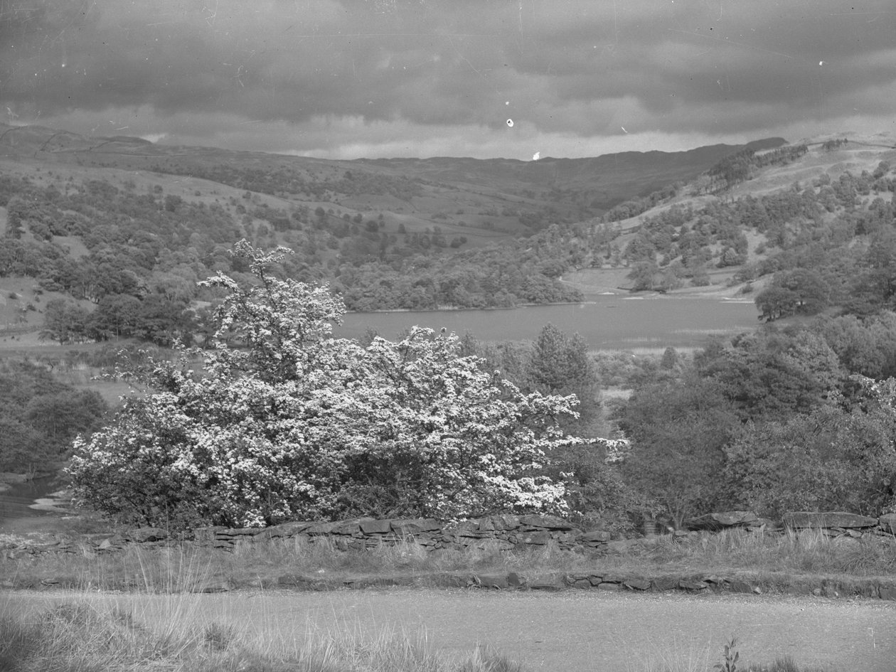 View Across a Lake at Rydal by Joseph Hardman