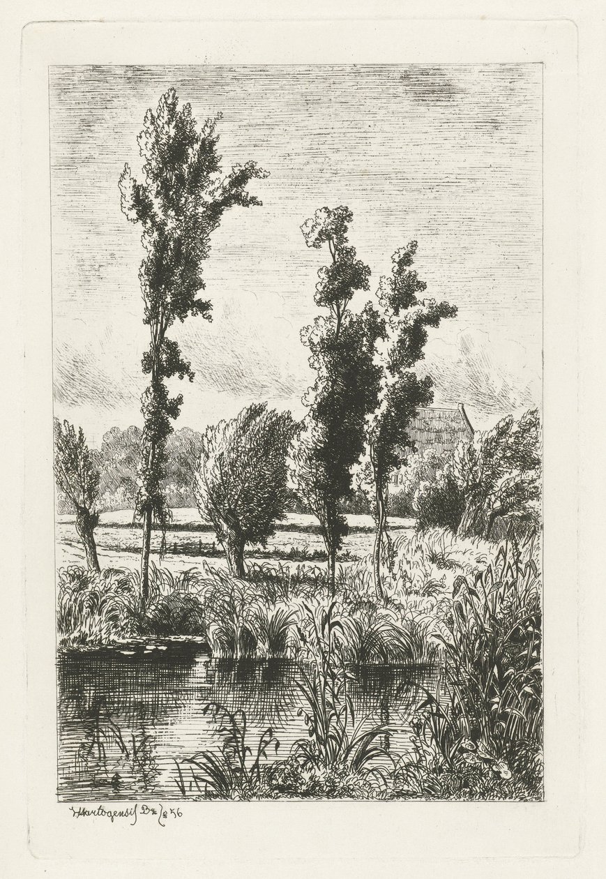 Trees by a Ditch by Joseph Hartogensis: Buy fine art print