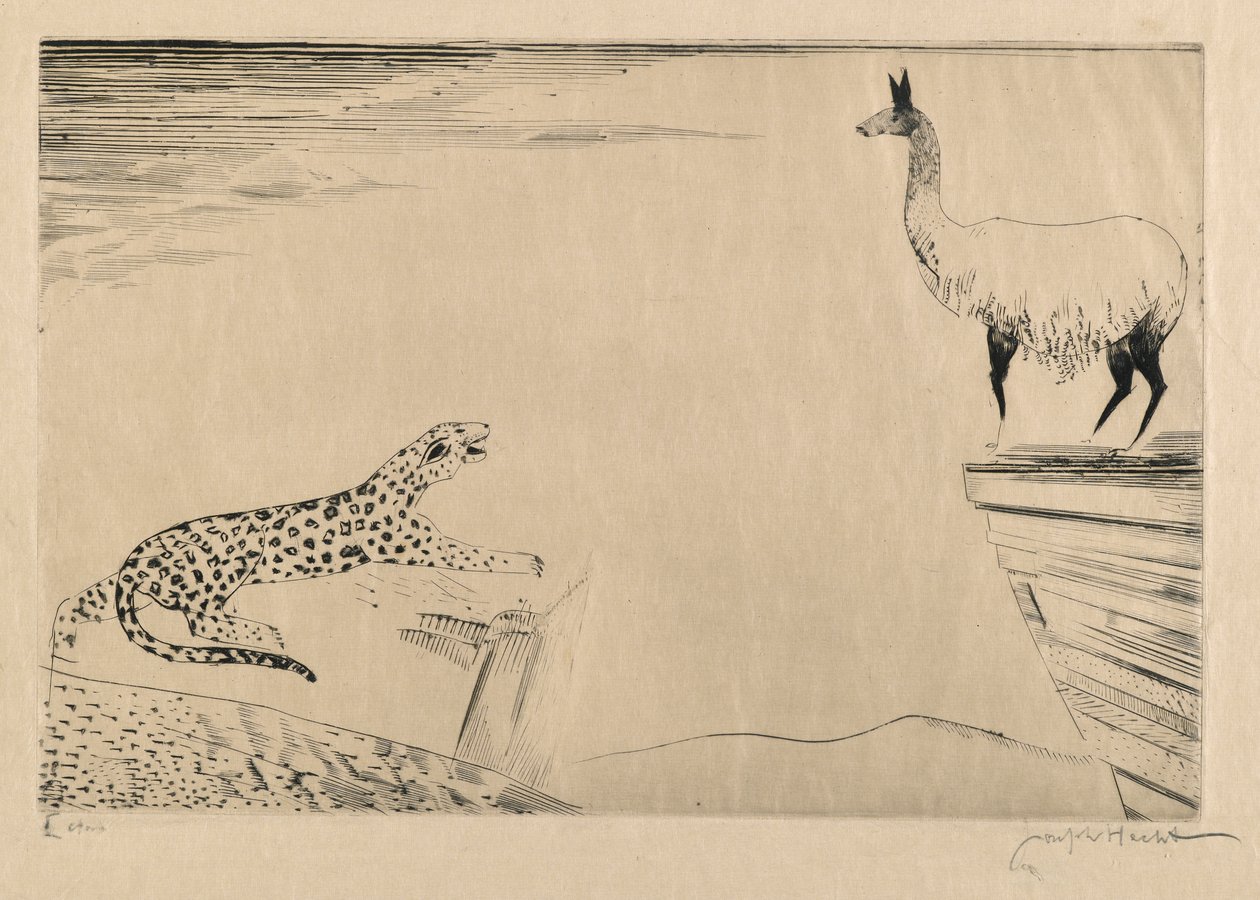 Jaguar and Llama by Joseph Hecht: Buy fine art print