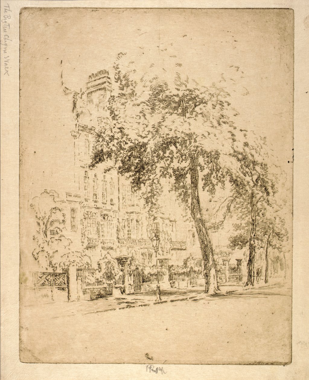 Big Tree - Cheyne Walk by Joseph Pennell: Fine art print