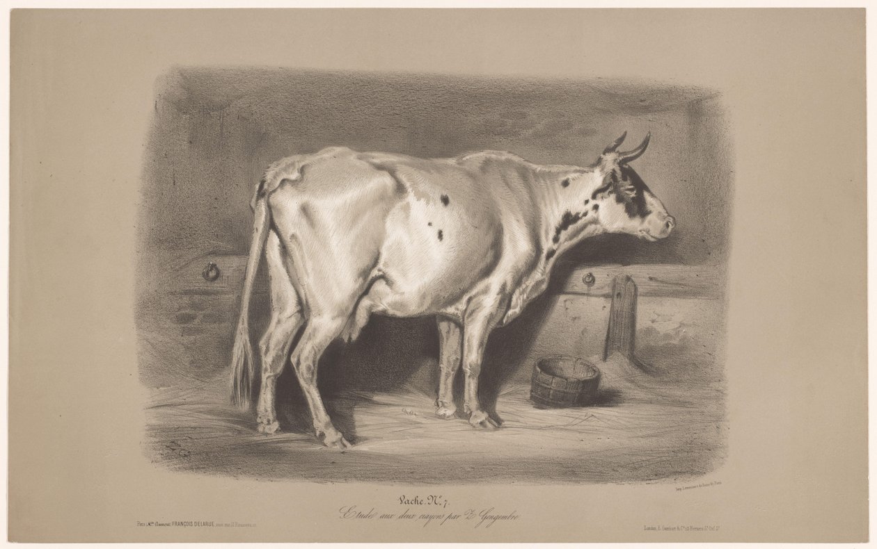 Cow in a Stable by Joseph Zephyris Gengembre