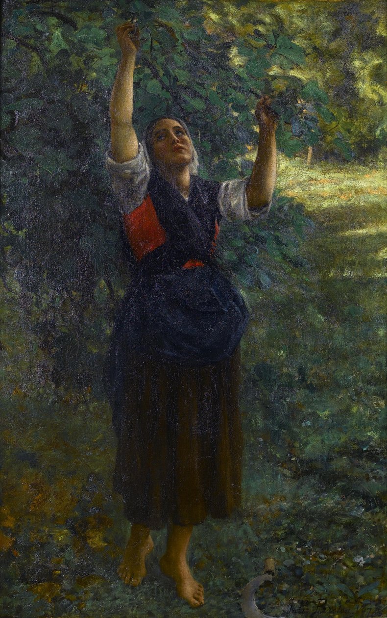 Fig Picker by Jules Breton: Highest-quality art reproduction