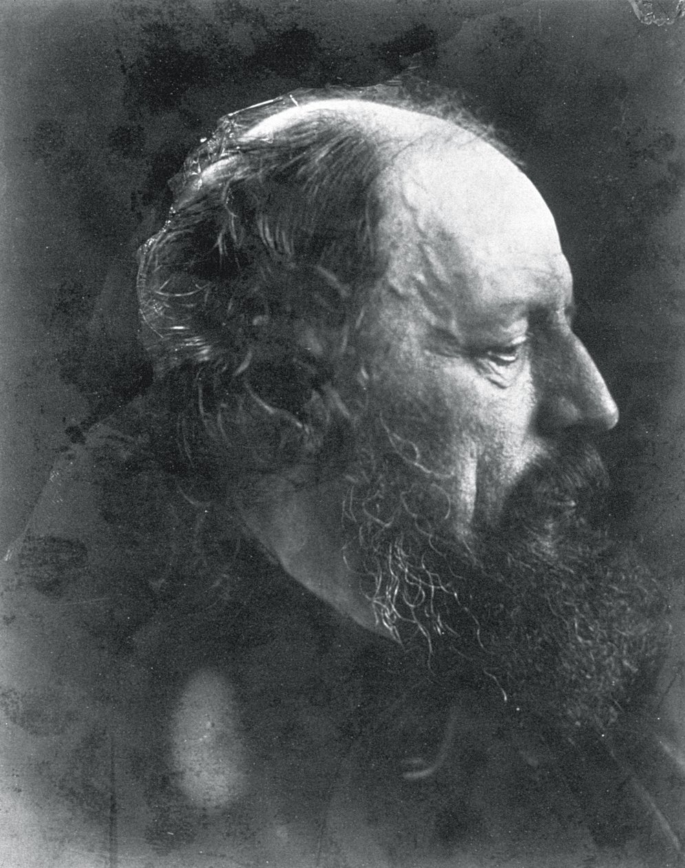 Alfred, Lord Tennyson by Julia Margaret Cameron