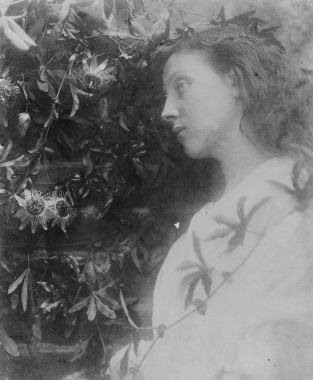 Illustration for the Poem 'Maud' by Alfred, Lord Tennyson