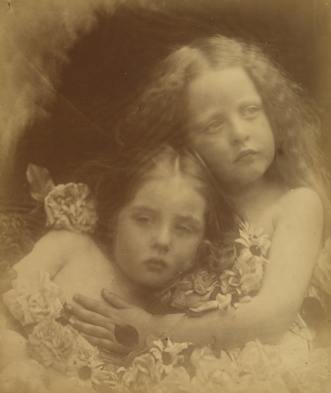 English Blossoms by Julia Margaret Cameron: Fine art print