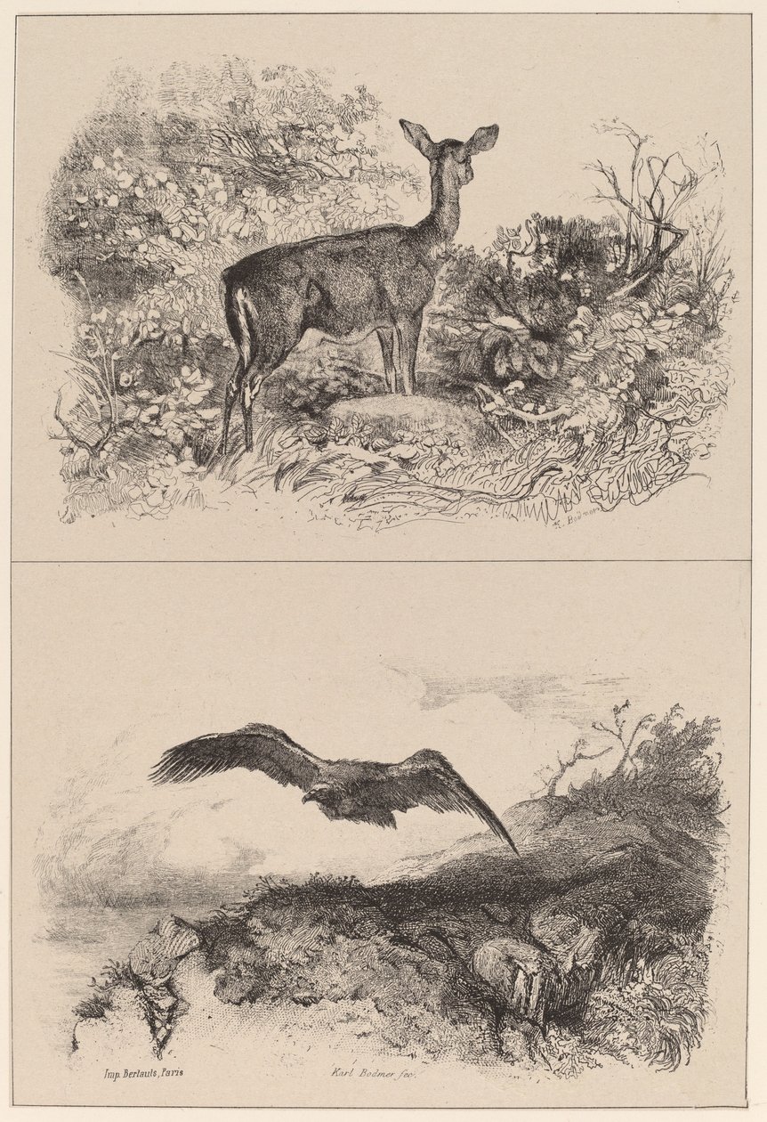 Doe, Eagle by Karl Bodmer: Highest-quality art reproduction