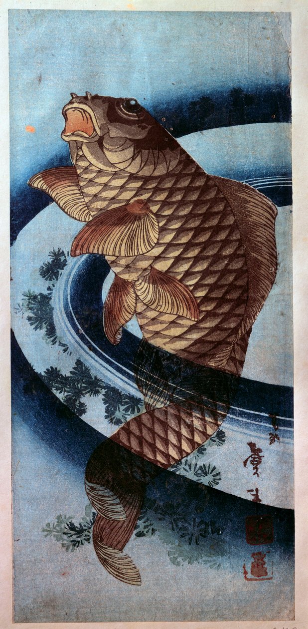 Japanese Art: A Carp by Katsushika Hokusai: Fine art print