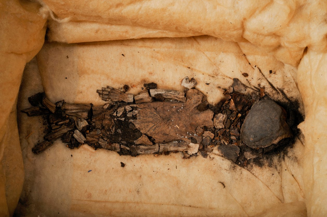 Fetus mummy, child of King Tut, Fetus 1, female, from KV62, Currently ...