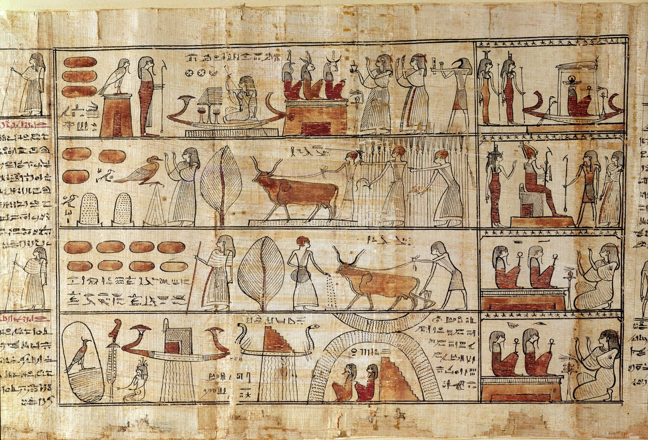 Ancient Egyptian Farming Ancient Egyptian Agriculture Students