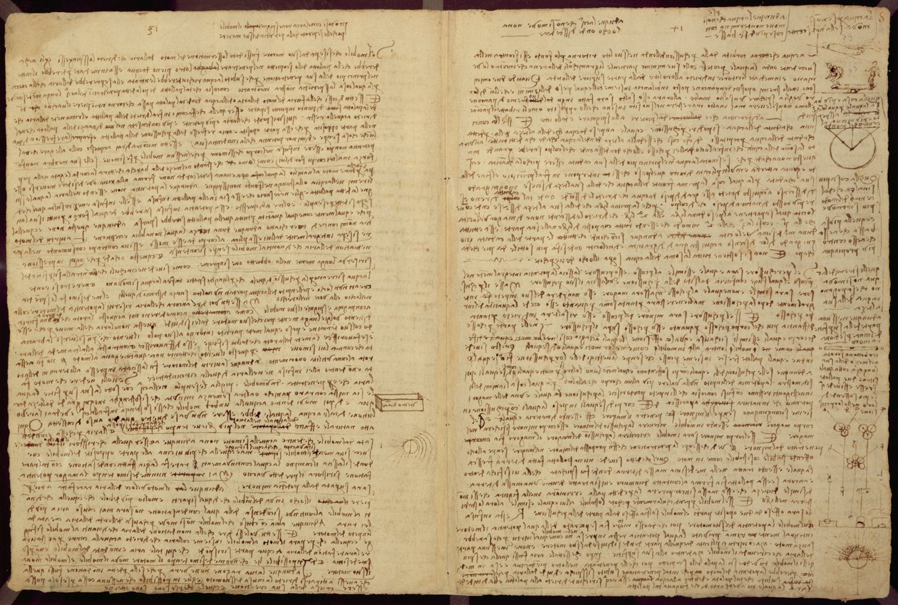 A Page from the Codex Leicester by Leonardo da Vinci