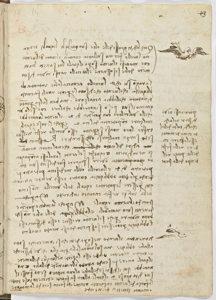 Birds Flight Code, Sheet 13 Recto by Leonardo da Vinci