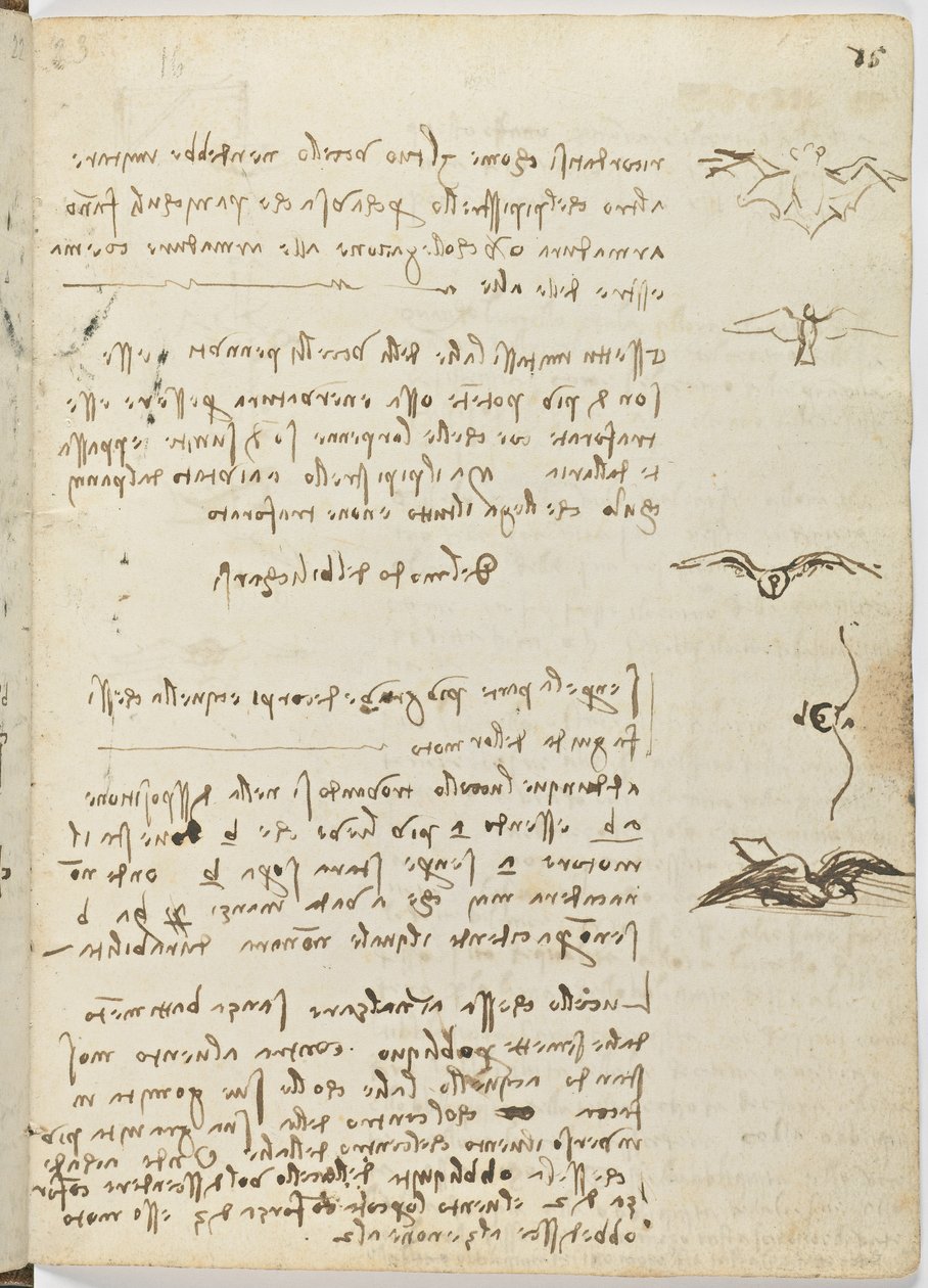 Birds Flight Code, Sheet 15 Recto by Leonardo da Vinci