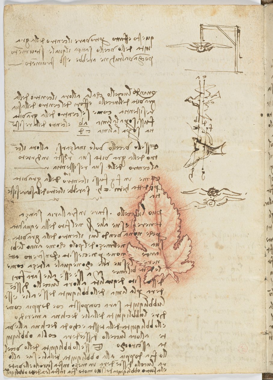 Birds Flight Code, Sheet 15 Verso by Leonardo da Vinci
