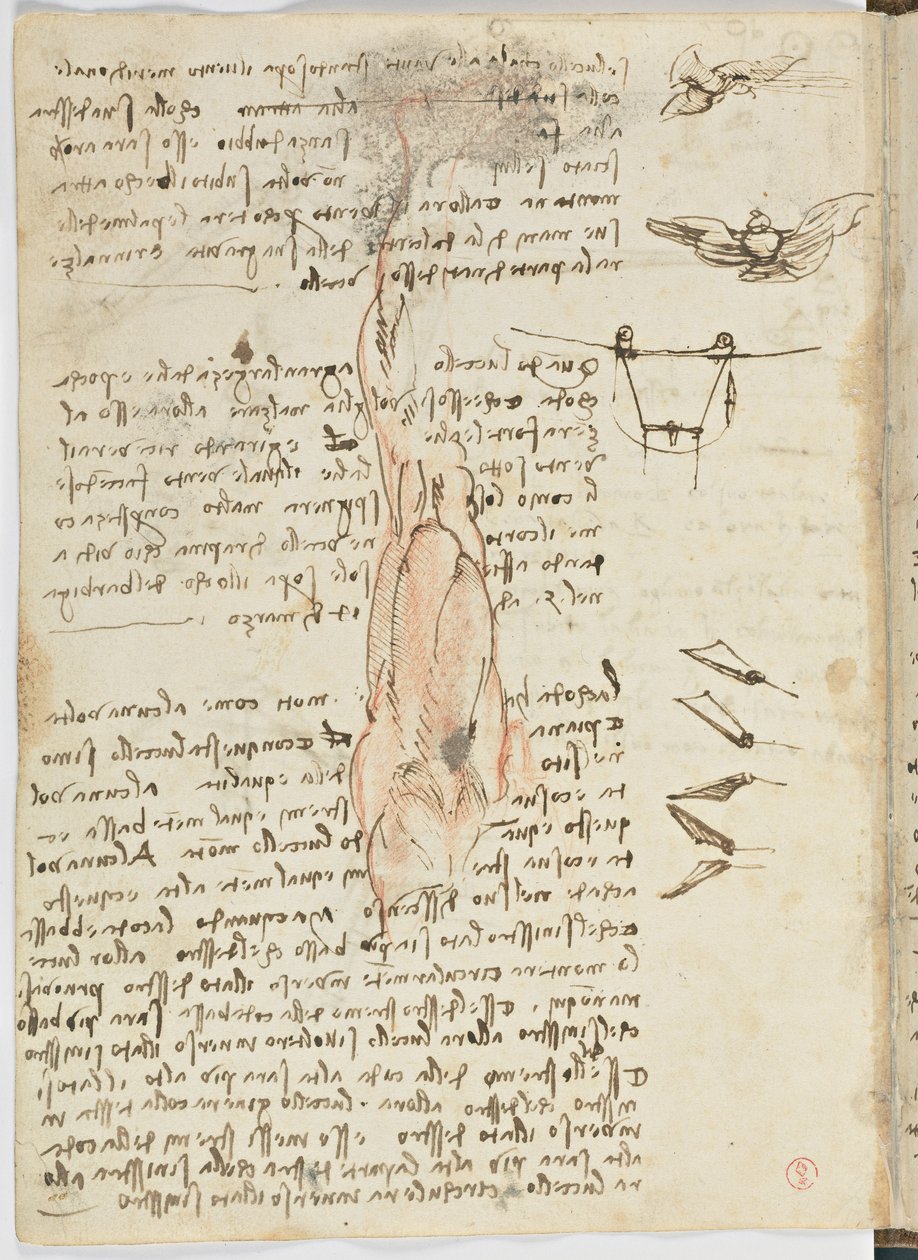 Birds Flight Code, Sheet 17 Verso by Leonardo da Vinci