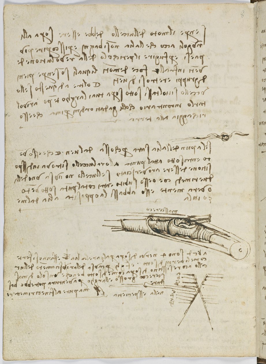Birds Flight Code, Sheet 6 Verso by Leonardo da Vinci