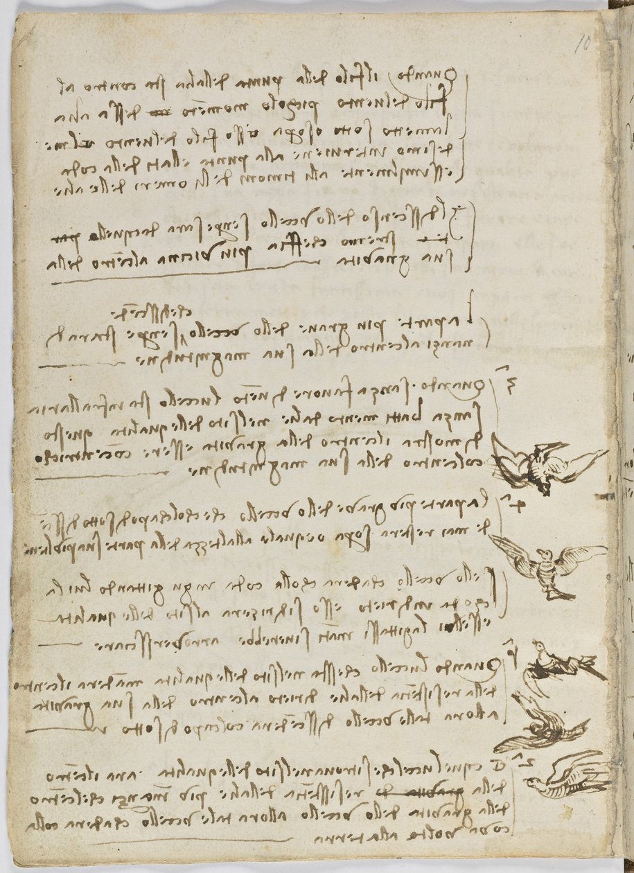 Birds Flight Code, Sheet 7 Verso by Leonardo da Vinci