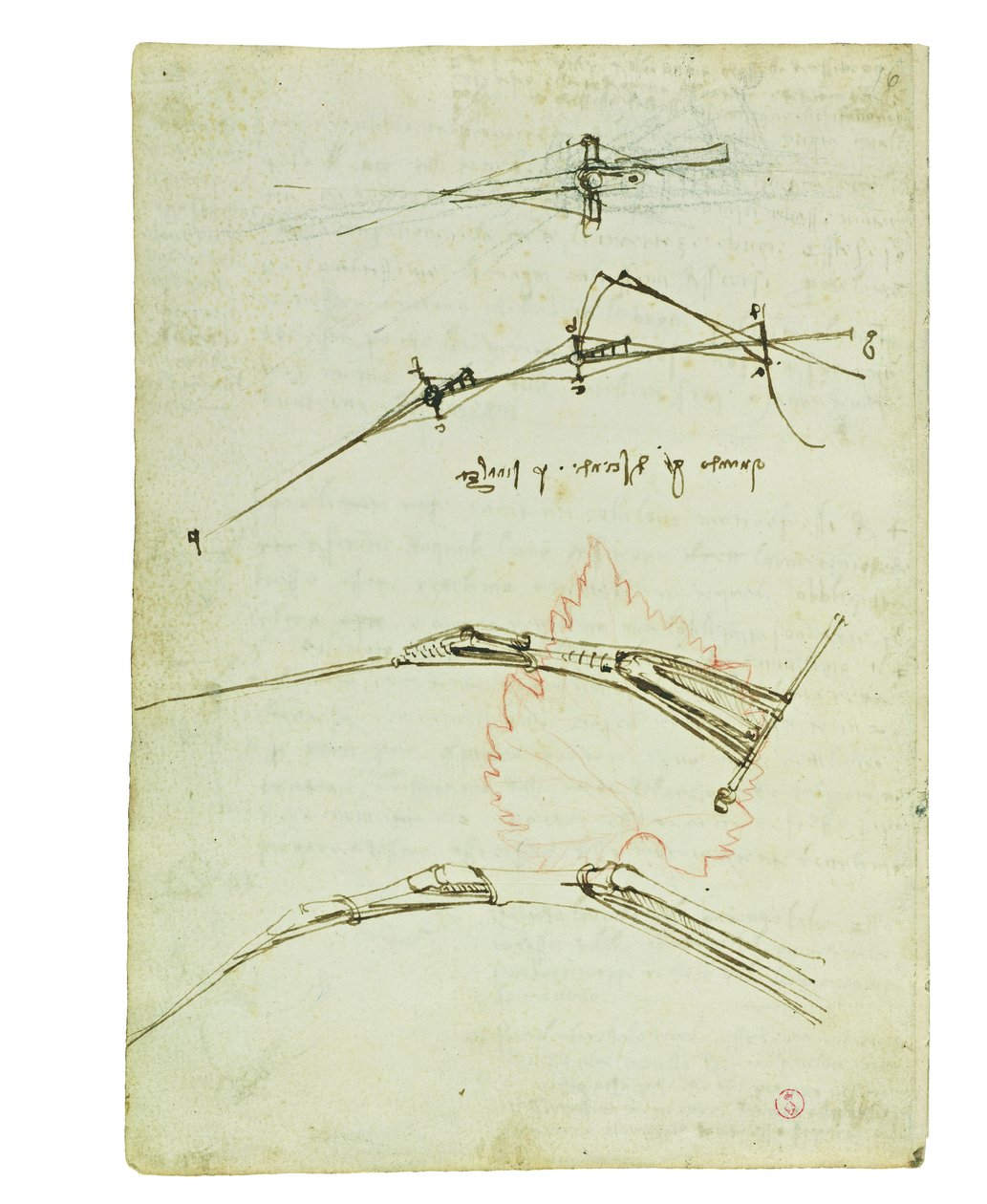 Codex on the Flight of Birds, Folio 11 Verso