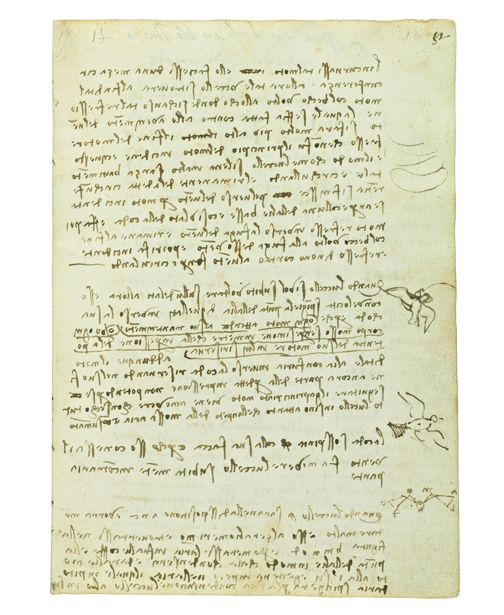 Codex on the Flight of Birds, Folio 12 Recto