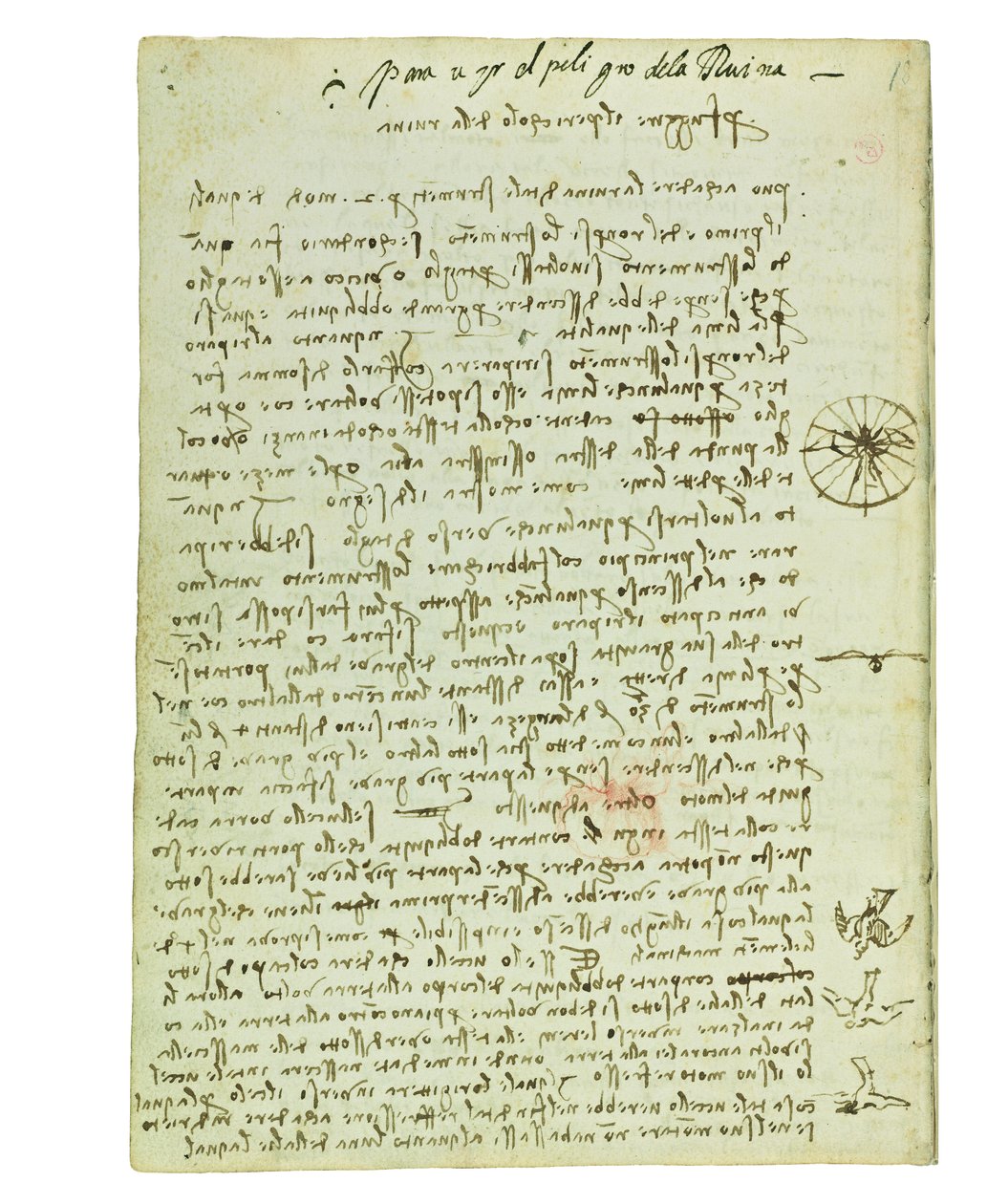 Codex on the Flight of Birds, Folio 12 Verso